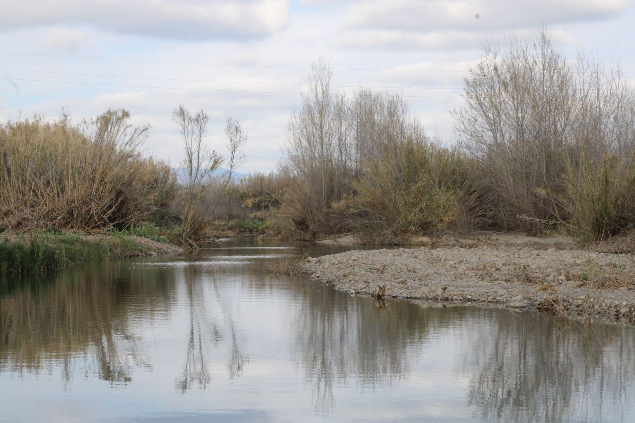 Cornia Watershed,Tuscany: Scaling Sponge Measures Through Expertise ...